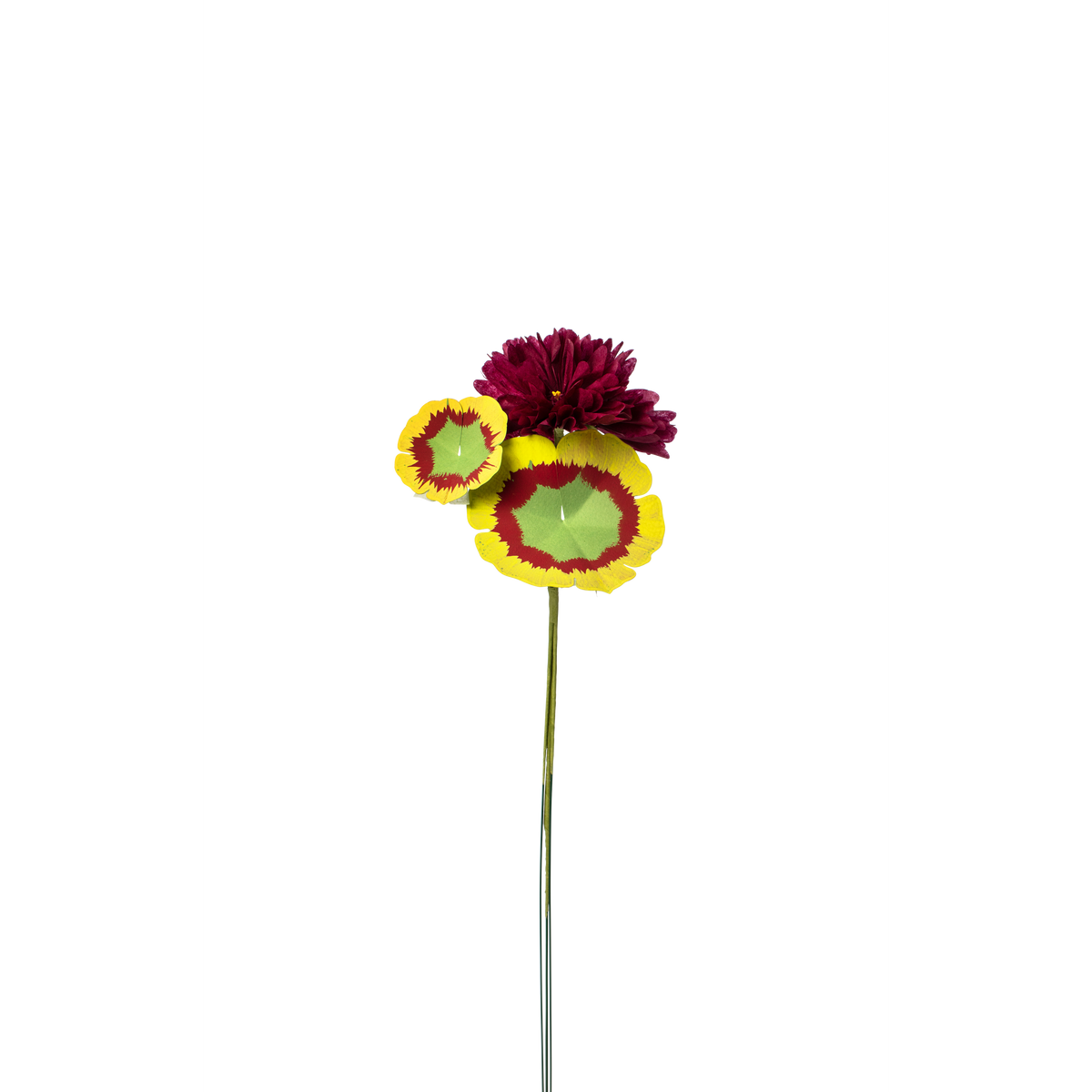 Two-tone Geranium Large Plant – Collecto